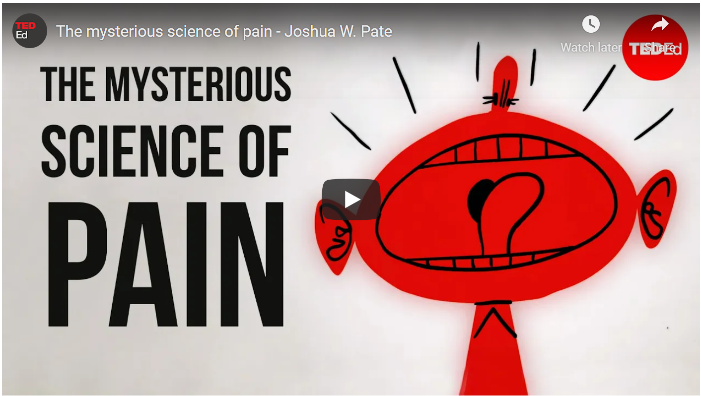 TED ED: The mysterious science of pain | Meg Foundation