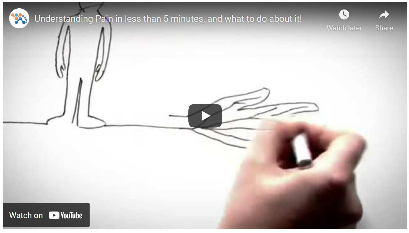 Understanding Pain in less than 5 minutes | Meg Foundation