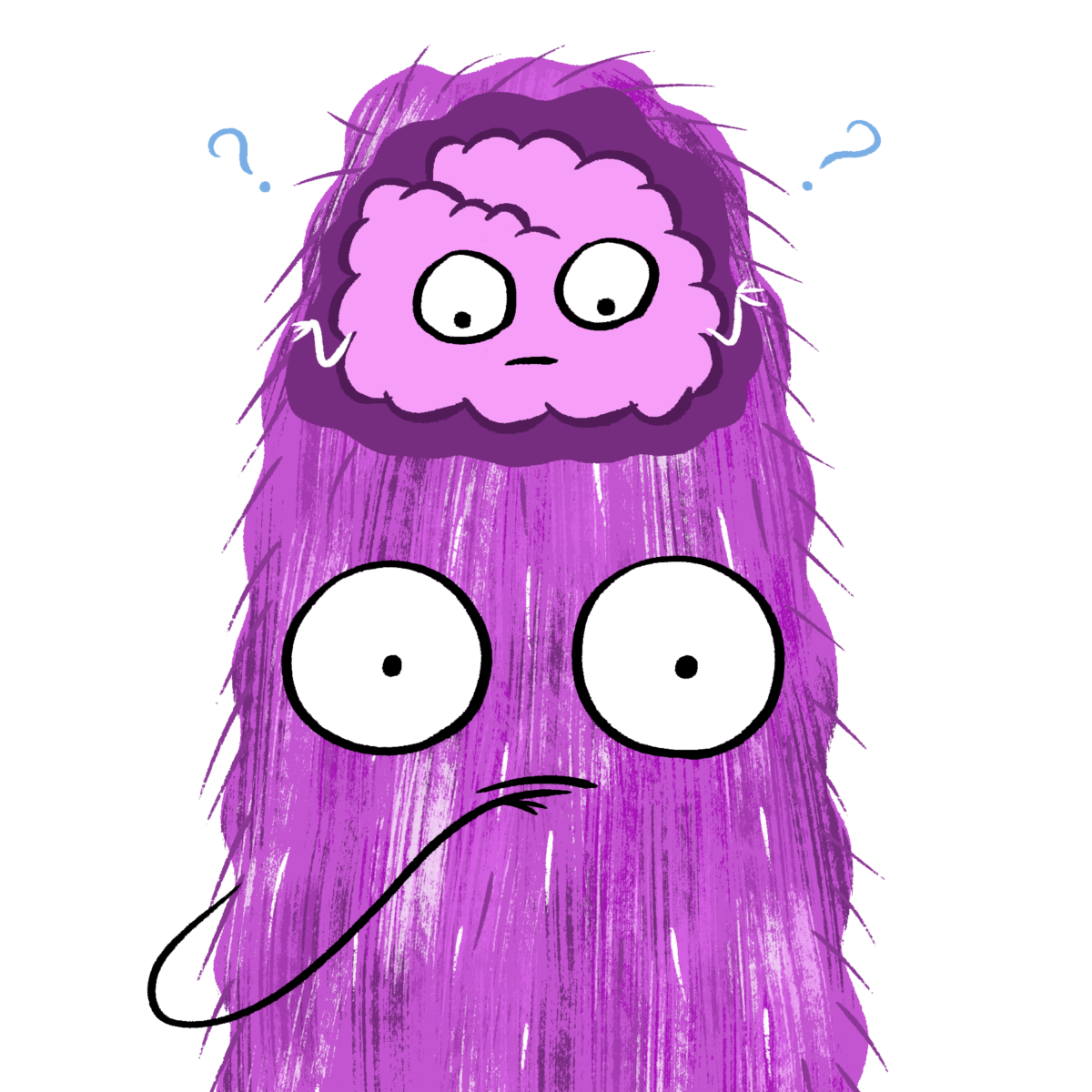 Part Three: Myths and Facts | Meg Foundation